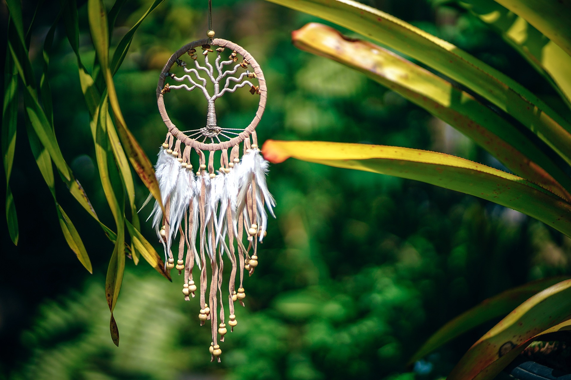 Spirits of Nature - VIDANANDA